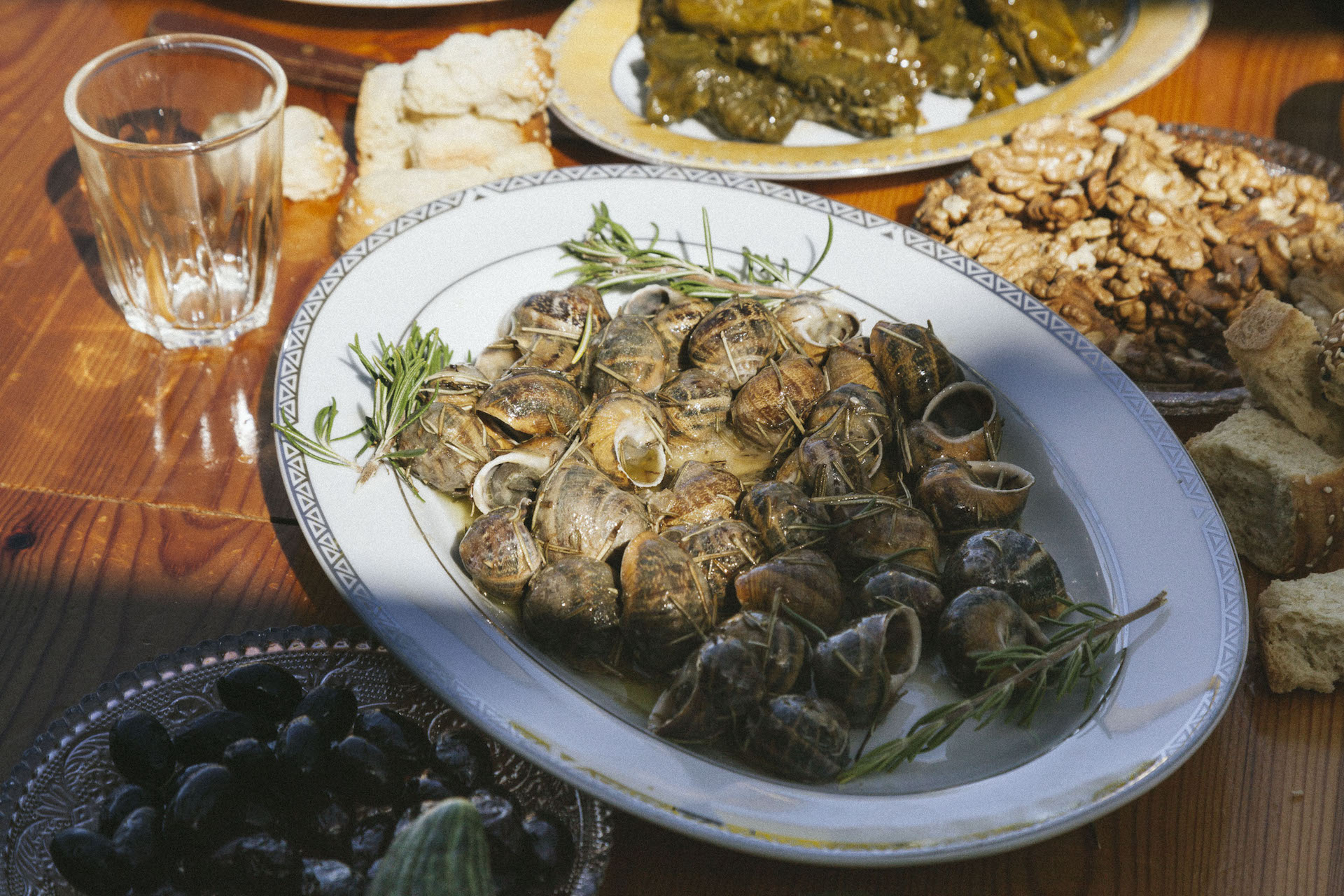 Snails – Agios Nikolaos Crete