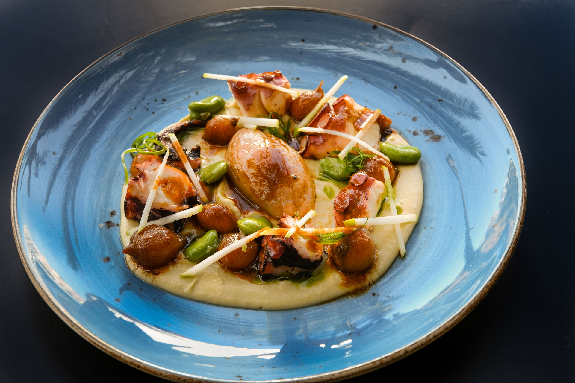 Octopus stew (stifado) with fava bean spread – Agios Nikolaos Crete